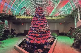 Must-see holiday displays across OKC area - PressReader