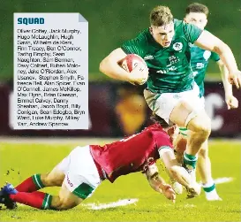 Bullish Irish plan to go one better - PressReader