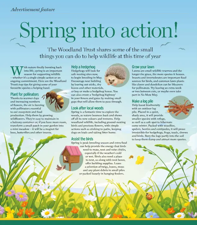 Spring into action! - PressReader