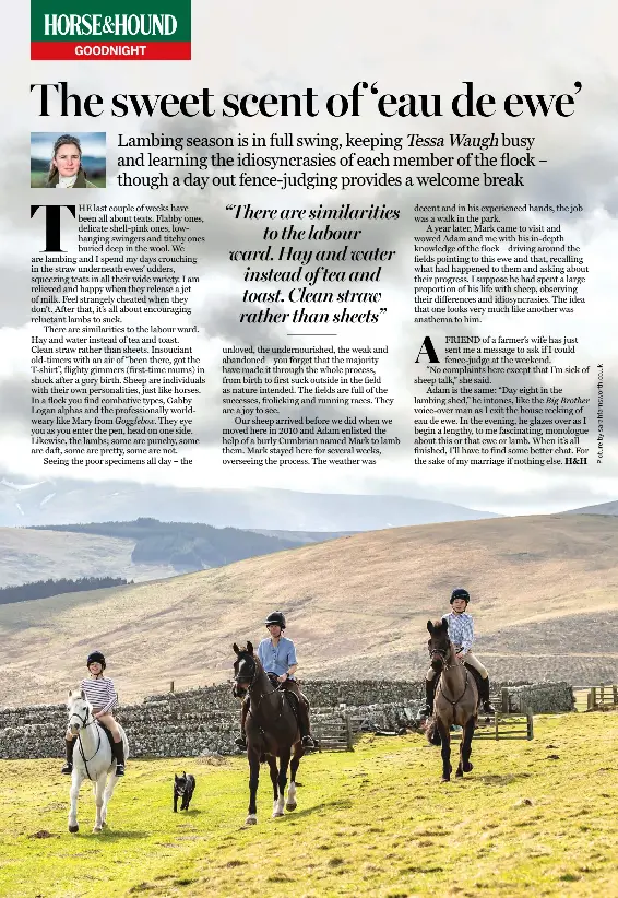 The sweet scent of ‘eau de ewe’ - PressReader