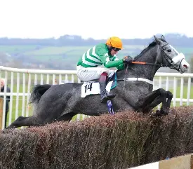 Biddick on the double - PressReader