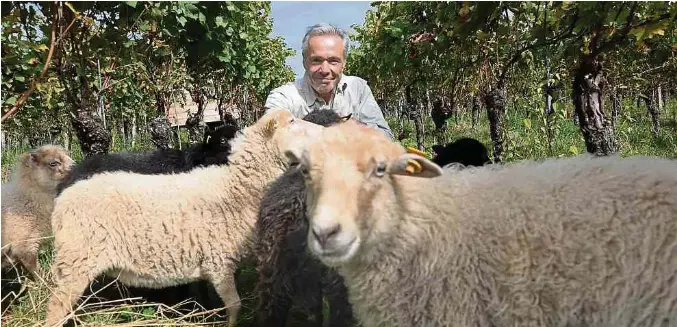 „Mit Shitstorms kann ich leben“ - PressReader