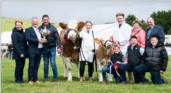 Goldies Simmental wins again - PressReader