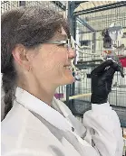 A little bird told her: scientist scoops $100,000 prize for decoding ...