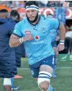 Key match-ups to decide Stormers v Bulls clash - PressReader
