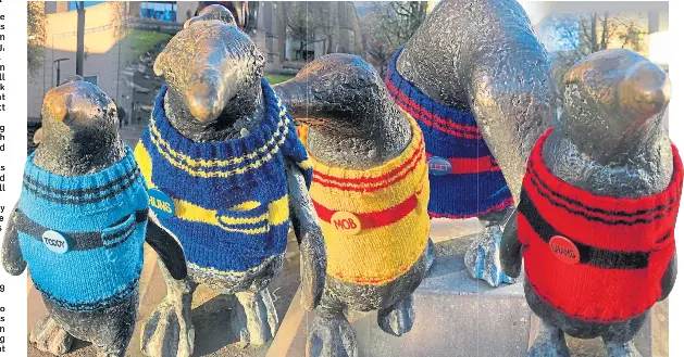 Penguins in jumpers recall city’s old gangs - PressReader