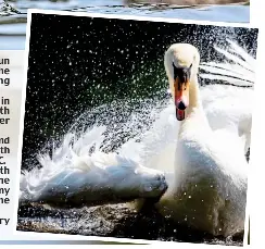 Making a splash?... this is how it’s done - PressReader