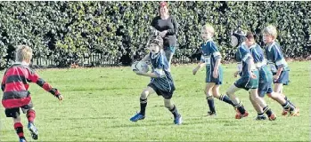 Strength in the south - PressReader