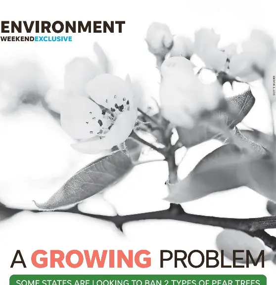 A GROWING PROBLEM - PressReader