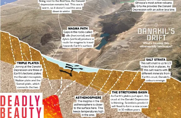 DEADLY BEAUTY - PressReader