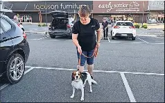 All aboard dog daycare bus - PressReader