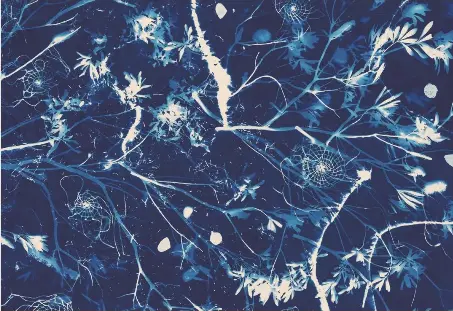 UNA RAPSODIA IN BLU CHE DURA DA UN SECOLO - PressReader