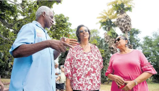 Century palms in bloom at Hope Gardens - PressReader