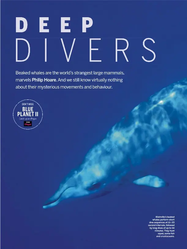 Mysteries of the deep - PressReader