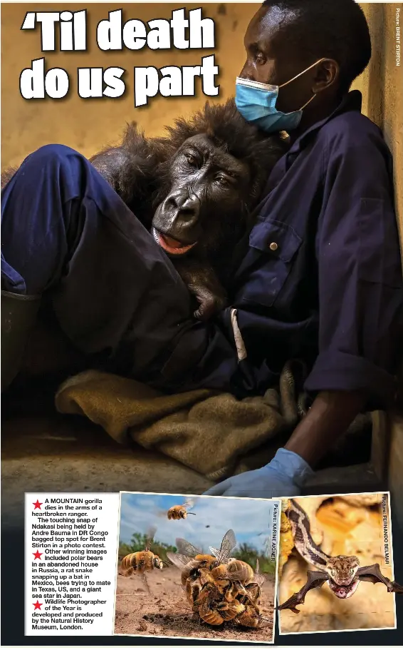 ‘Til death do us part - PressReader