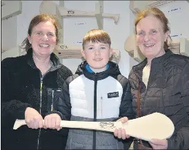 From yellow cards to yellow sliotars - hurling’s latest change ...