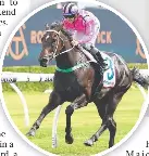 Gun Molly targets Majestic triumph - PressReader