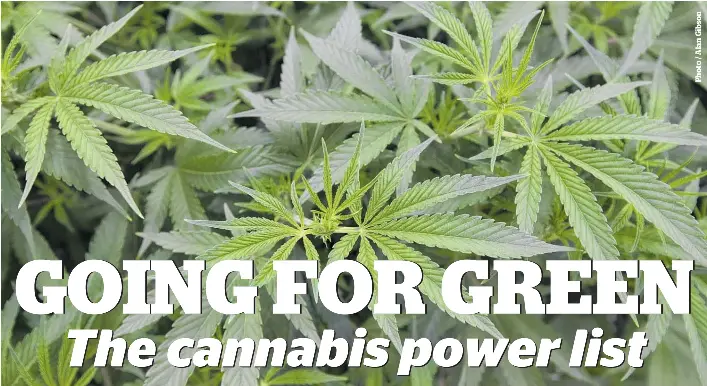 GOING FOR GREEN The cannabis power list - PressReader