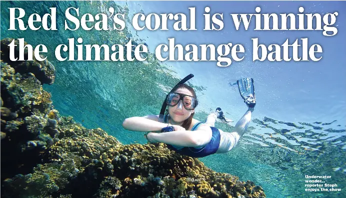 Red Sea’s coral is winning the climate change battle - PressReader