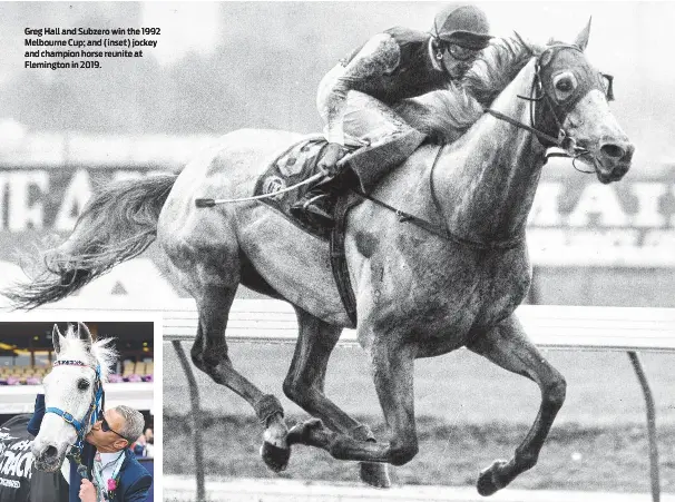 Hall straps himself in for stable work - PressReader