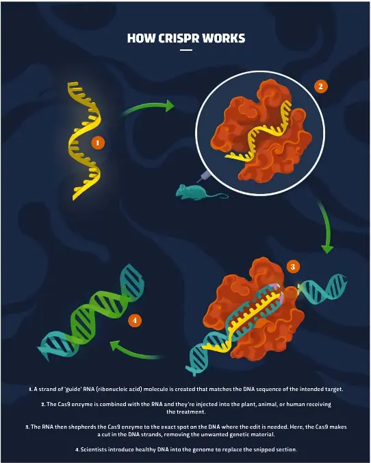 HOW CRISPR WORKS - PressReader