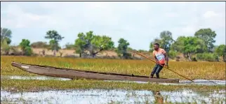 Nkashi: Race for Okavango film premieres - PressReader