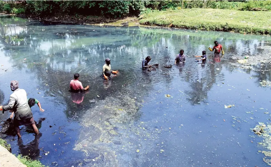 Death in the sewers, again - PressReader