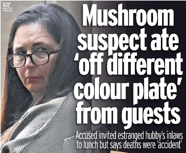 Mushroom suspect ate ‘off different colour plate’ from guests - PressReader