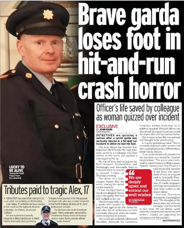 Brave garda loses foot in hit-and-run crash horror - PressReader