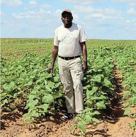 Helping farmers to access loans reignites love for land - PressReader