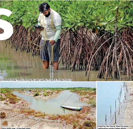 Saving a sanctuary - PressReader