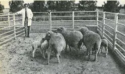 MAAK GELD MET SKAAPMELK EN -KAAS - PressReader