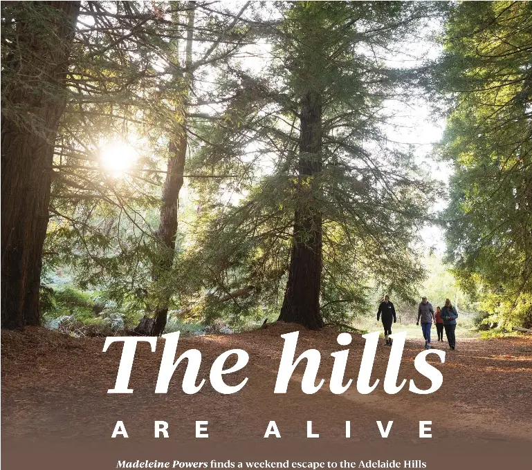 The hills ARE ALIVE - PressReader