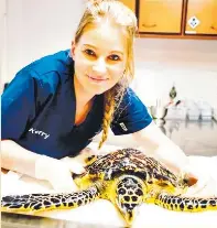 CRITICALLY ENDANGERED TURTLE ON THE MEND AFTER WASHING UP IN ISIMANGALI­SO - PressReader