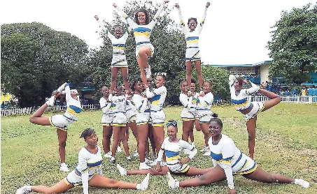 10 facts on Merl Grove High School - PressReader