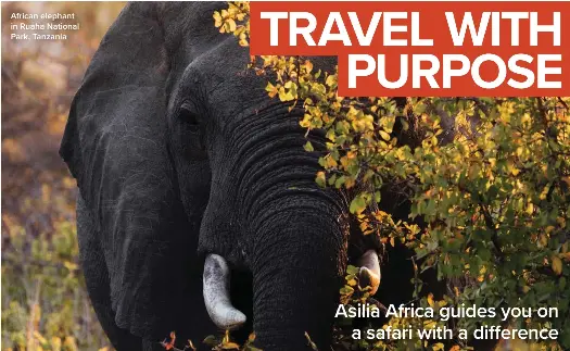 TRAVEL WITH PURPOSE - PressReader