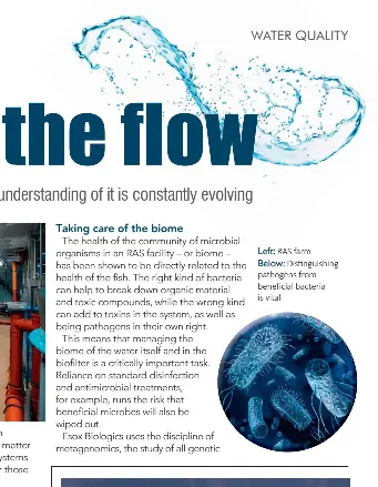 Go with the flow - PressReader