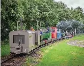 Simplex the best – nine locos with total age of 769 years in cavalcade ...