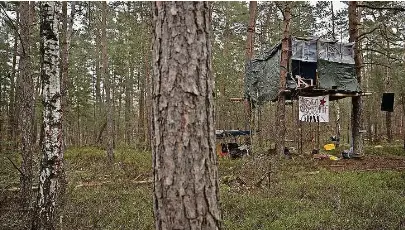 Nach der „Heibo“-Räumung: Werden bei der Rodung alle Auflagen ...
