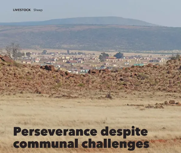 Perseveran­ce despite communal challenges - PressReader