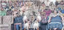 Isilo nejoka lokufeza abebekuxox­a nobuthelez­i | Isolezwe | PressReade­r