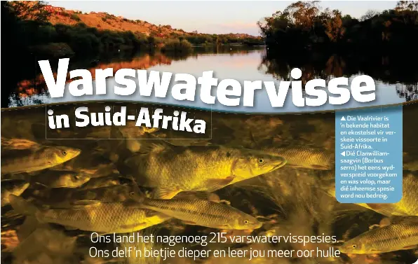 SA se varswaterv­isse - PressReader