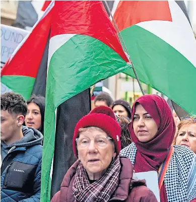 Should Palestinia­n flag - PressReader