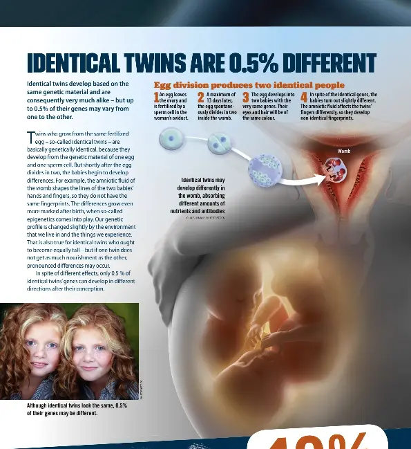 IDENTICAL TWINS ARE 0.5% DIFFERENT - PressReader