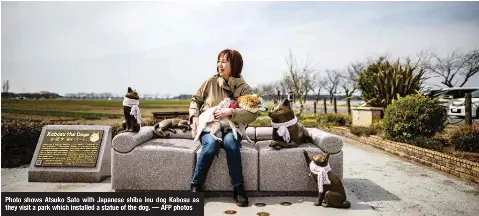 Rescue pup to meme star: The real-life ‘Dogecoin’ dog - PressReader