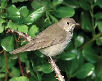 Basic Principles - PressReader