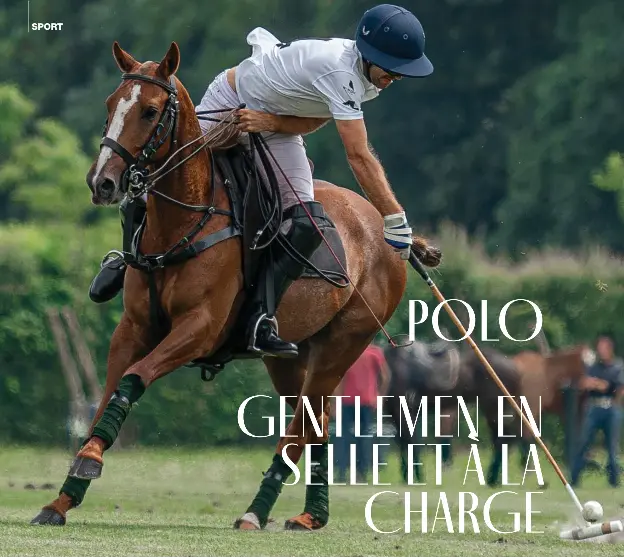 POLO GENTLEMEN EN SELLE ET À LA CHARGE - PressReader