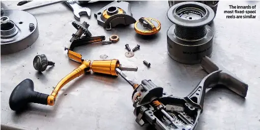 The inner workings of a fixed spool. - PressReader