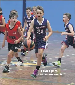 Basketball triumph - PressReader
