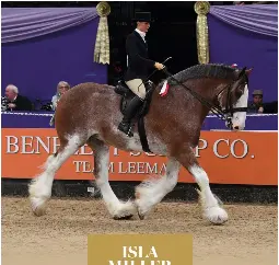 ISLA MILLER - PressReader